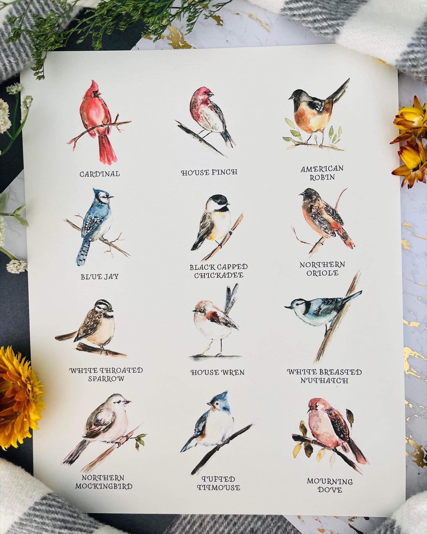 Wild Bird Species Watercolour Labelled Print, North American Bird Art ...