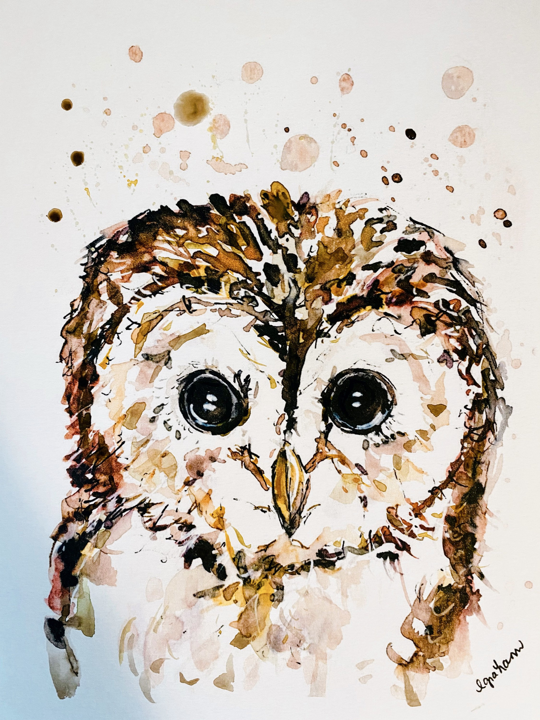 Abstract Owl Drawings