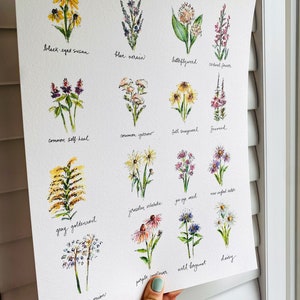 Labeled Watercolour Wildflower Print, Most Popular North American ...