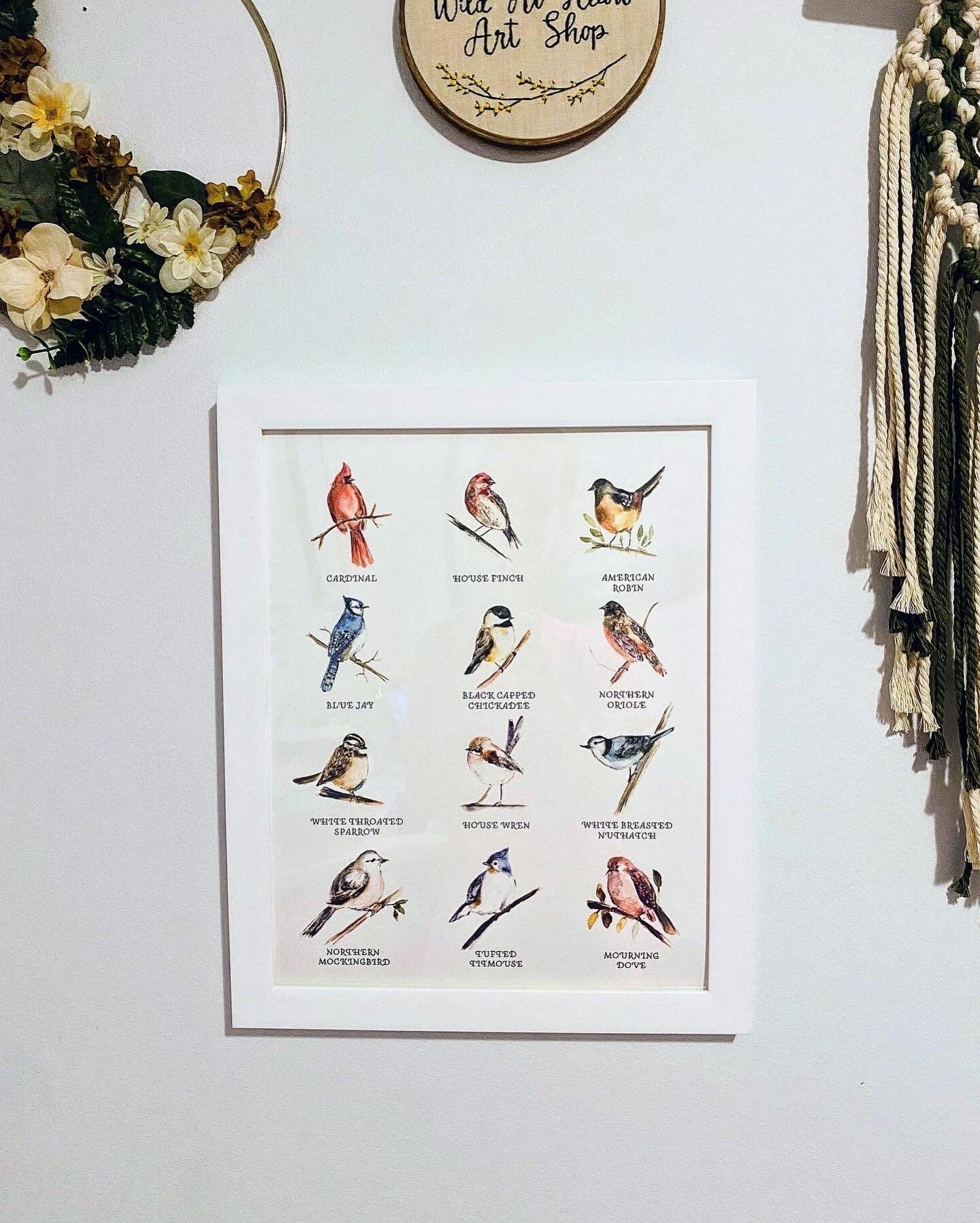 Wild Bird Species Watercolour Labelled Print, North American Bird Art ...