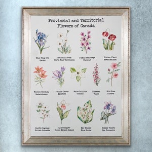 Provincial and Territorial Florals of Canada Print, Labelled Flowers of ...