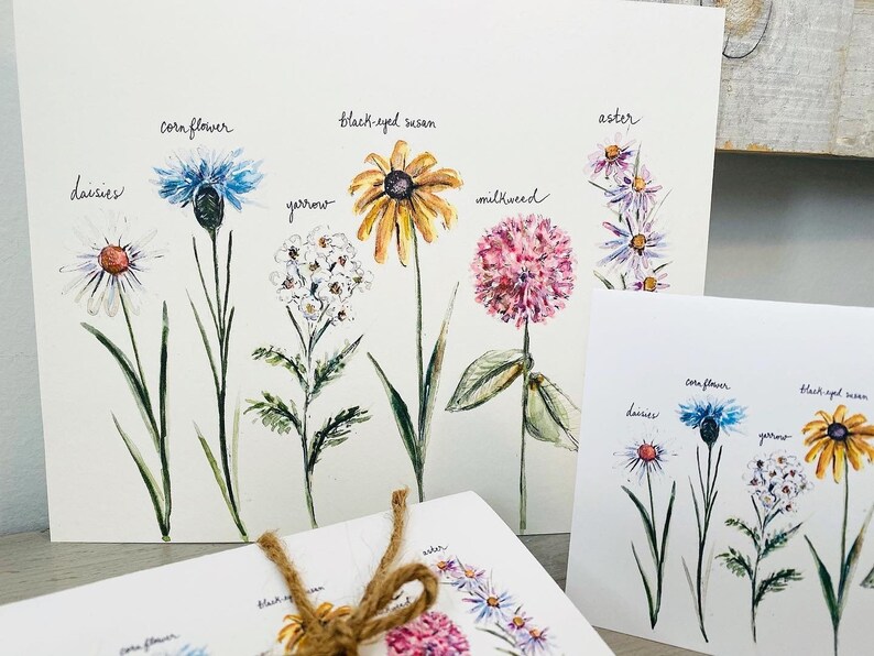 Botanical Watercolour Labeled Wildflower Print, Long Stemmed ...