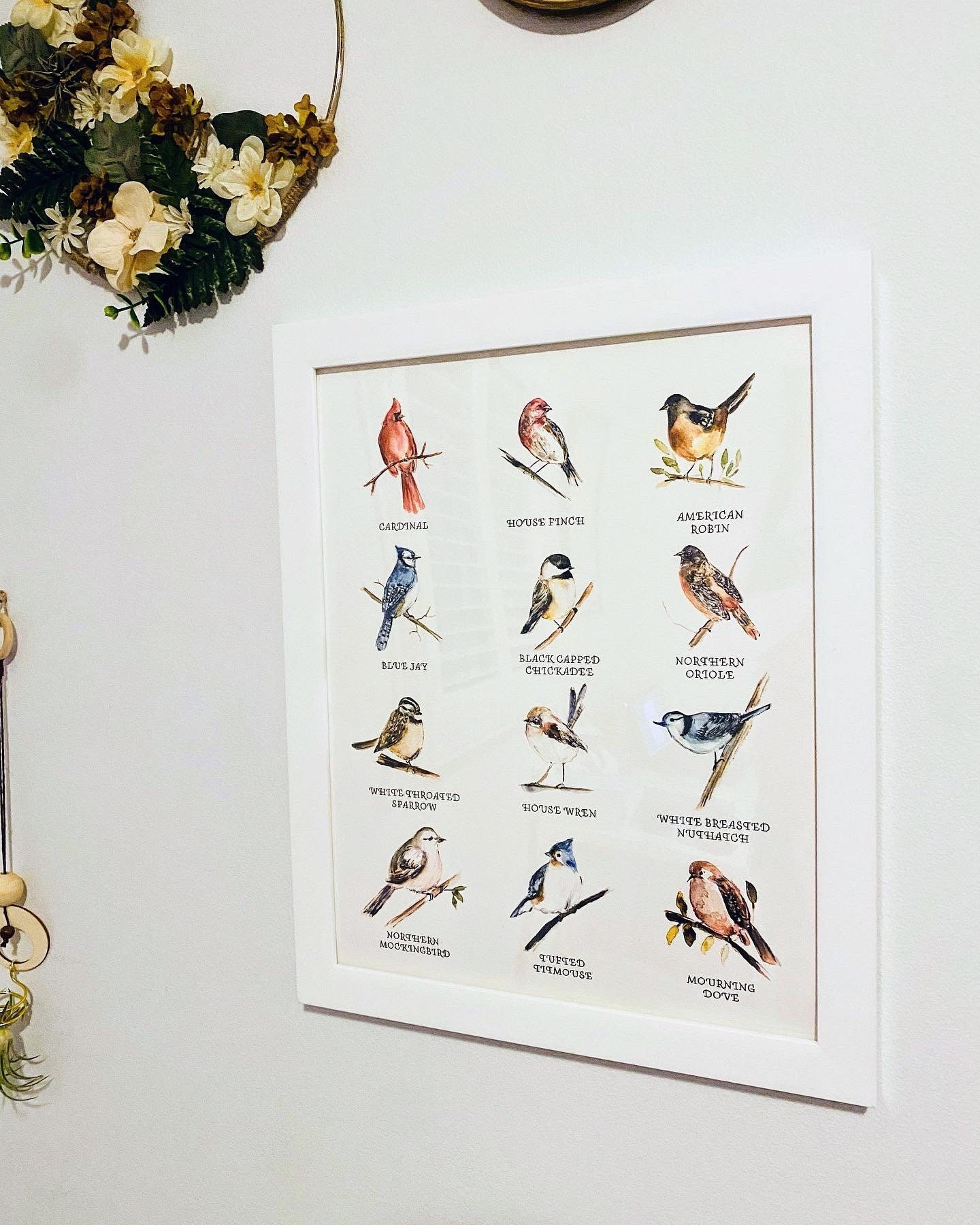 Wild Bird Species Watercolour Labelled Print, North American Bird Art ...