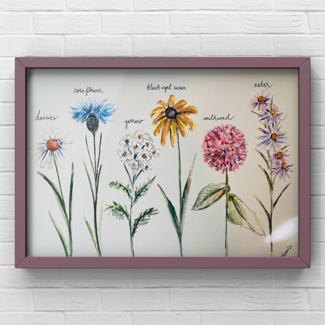 Botanical Watercolour Labeled Wildflower Print, Long Stemmed ...