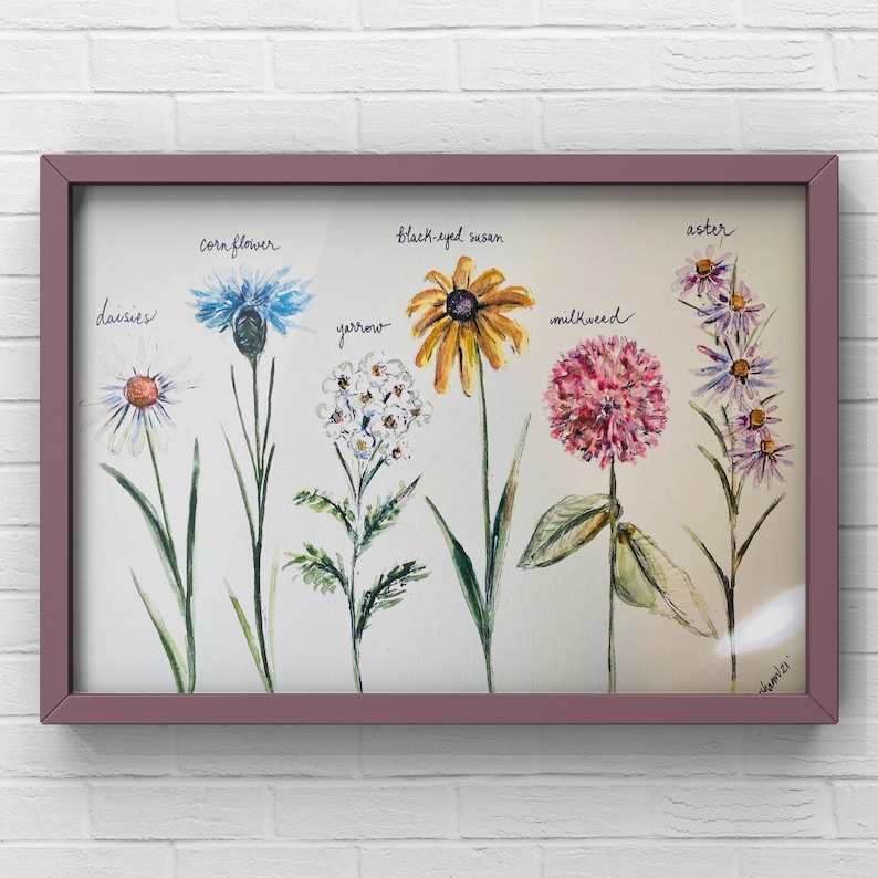 Botanical Watercolour Labeled Wildflower Print Long Stemmed | Etsy