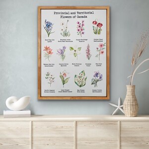 Provincial and Territorial Florals of Canada Print, Labelled Flowers of ...