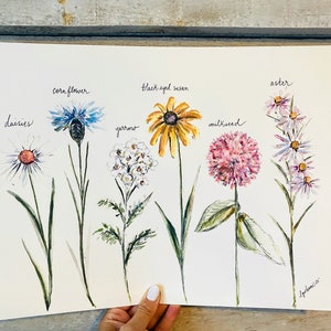 Botanical Watercolour Labeled Wildflower Print, Long Stemmed ...