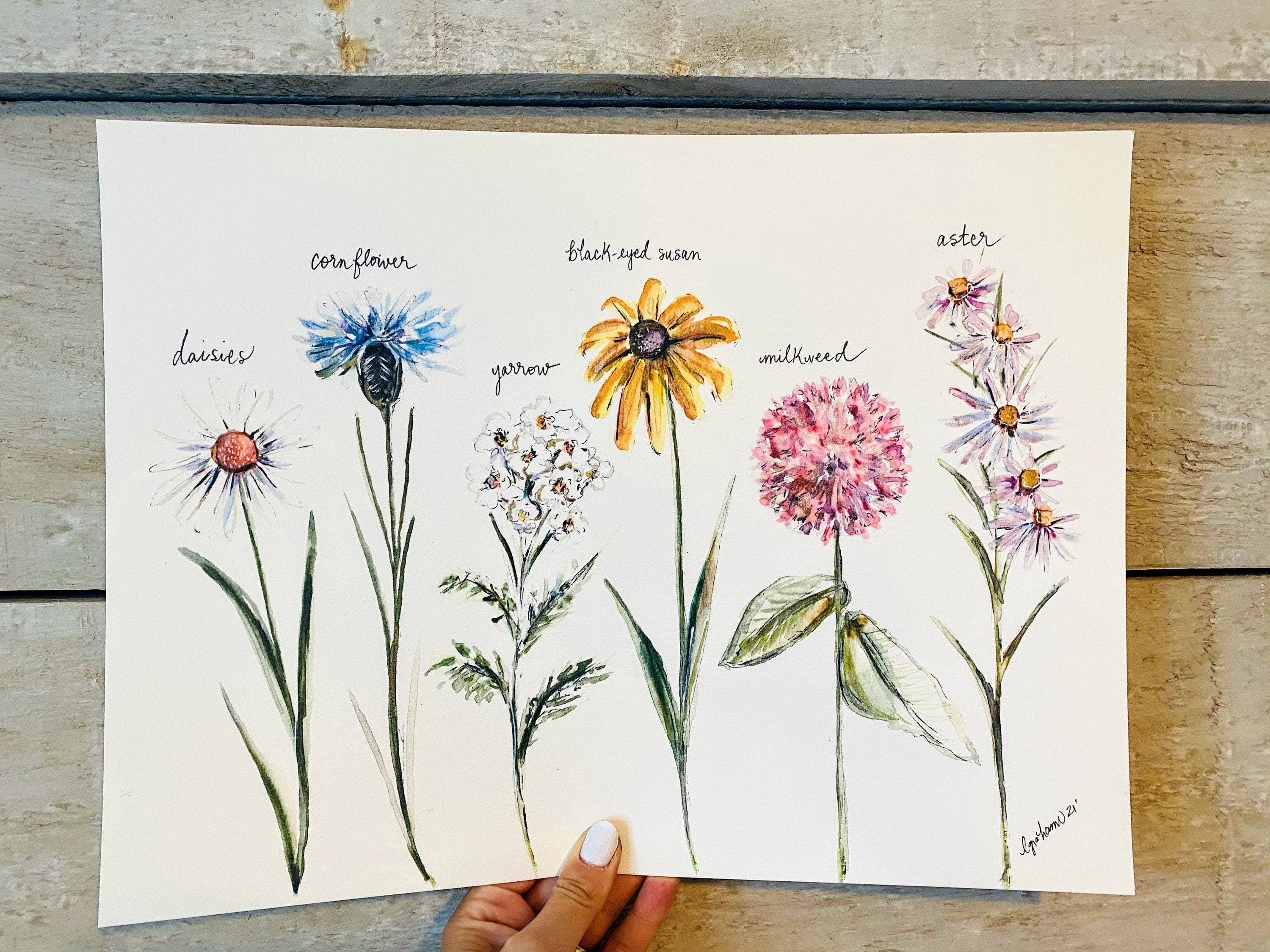 Botanical Watercolour Labeled Wildflower Print Long Stemmed - Etsy