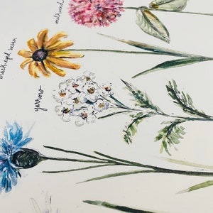 Botanical Watercolour Labeled Wildflower Print, Long Stemmed ...