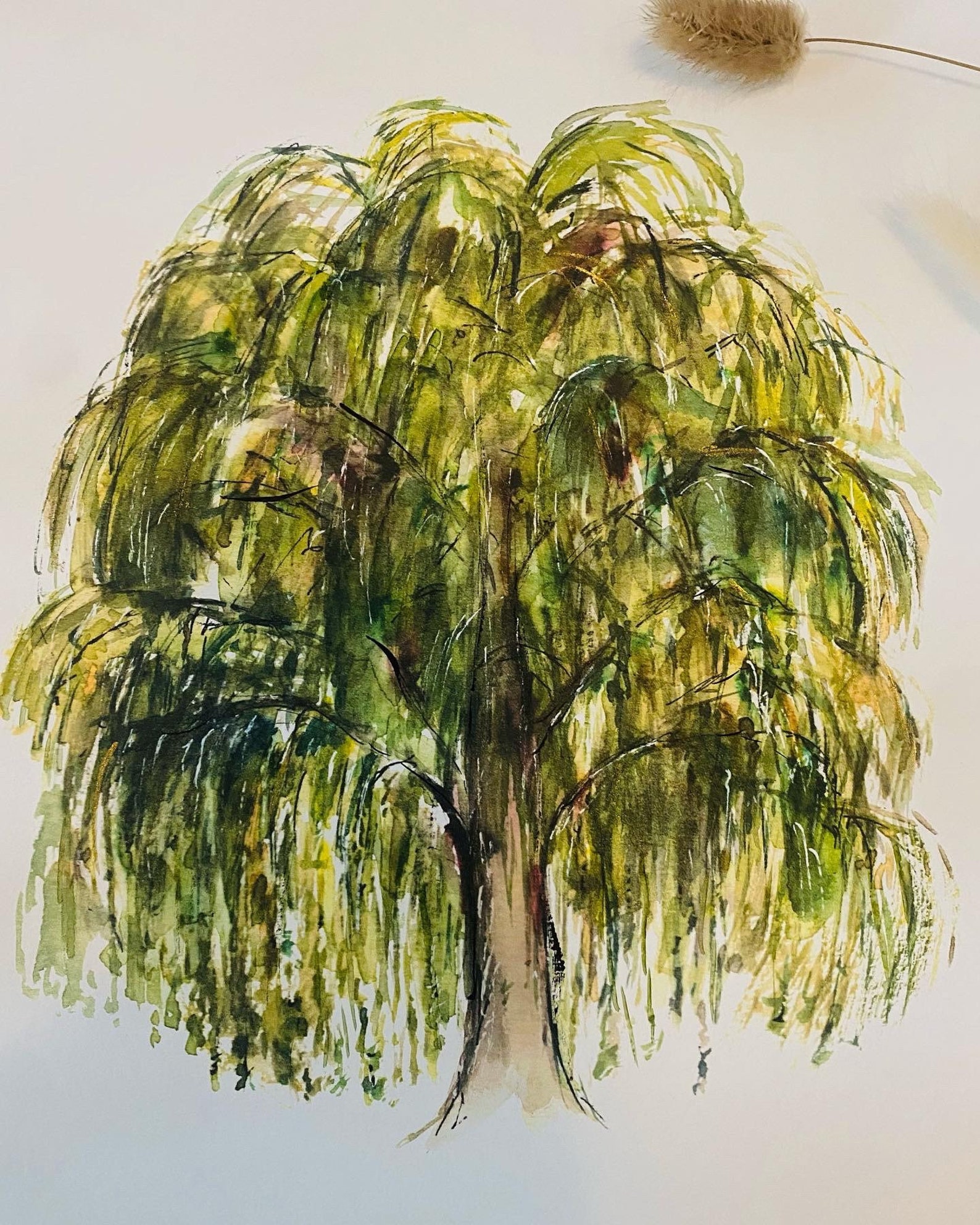 Wispy Willow Tree Watercolour Print, Willow Tree Illustrated Wall Art ...