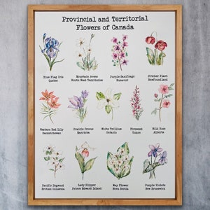 Provincial and Territorial Florals of Canada Print, Labelled Flowers of ...