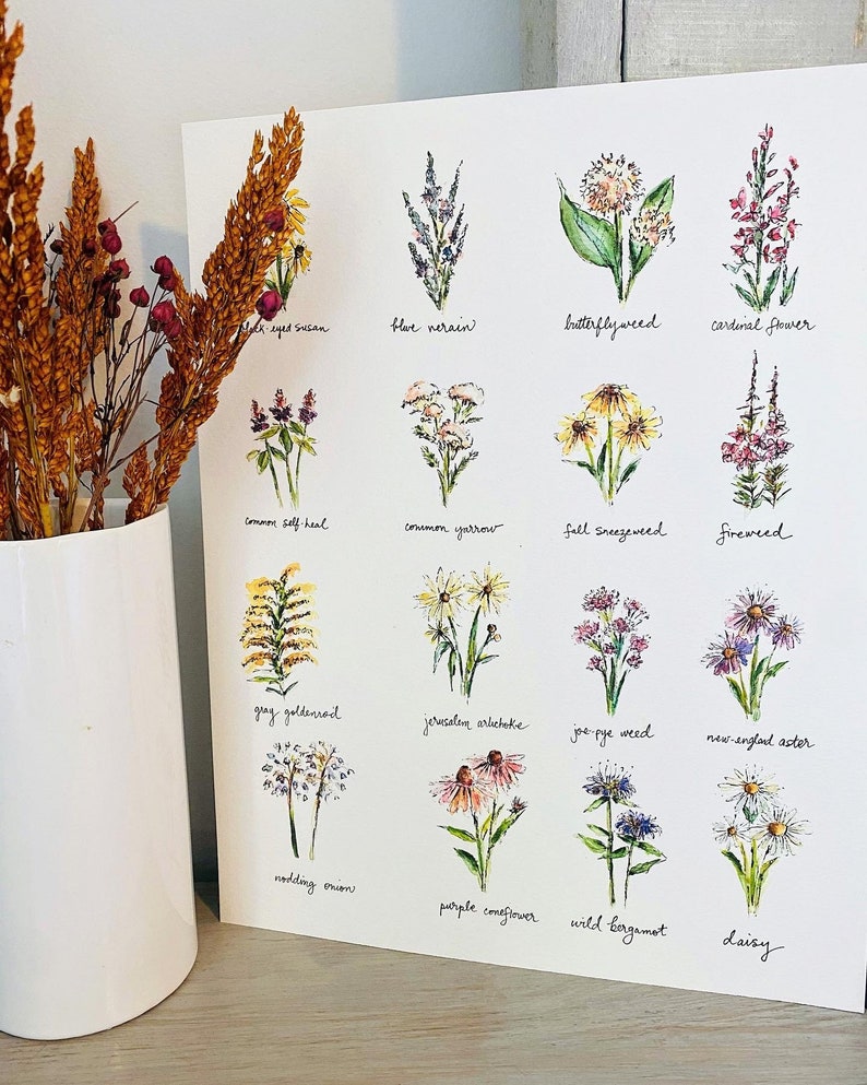 Labeled Watercolour Wildflower Print, Most Popular North American ...