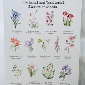 Provincial and Territorial Florals of Canada Print, Labelled Flowers of ...