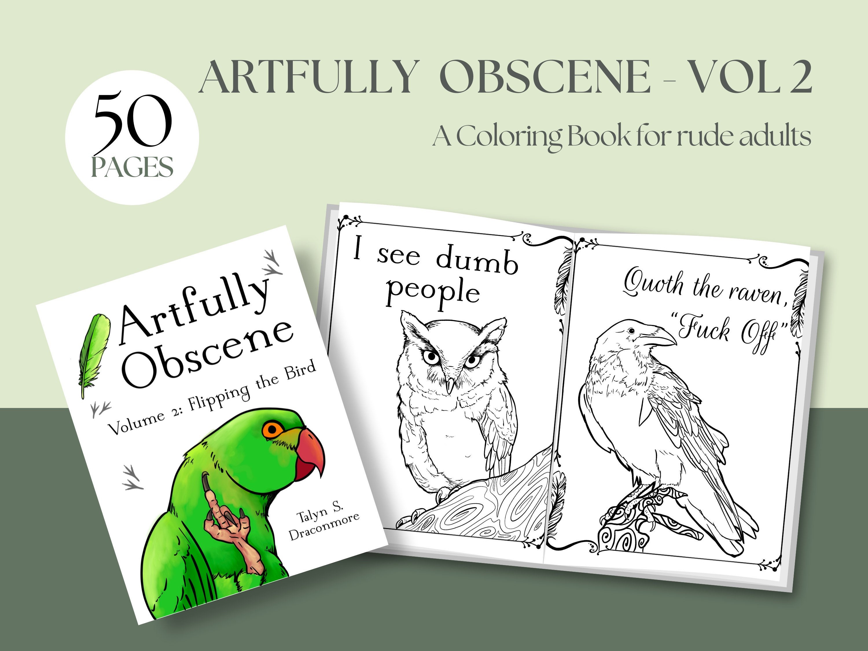 Artfully Obscene Coloring Book Volume 2 flipping the - Etsy