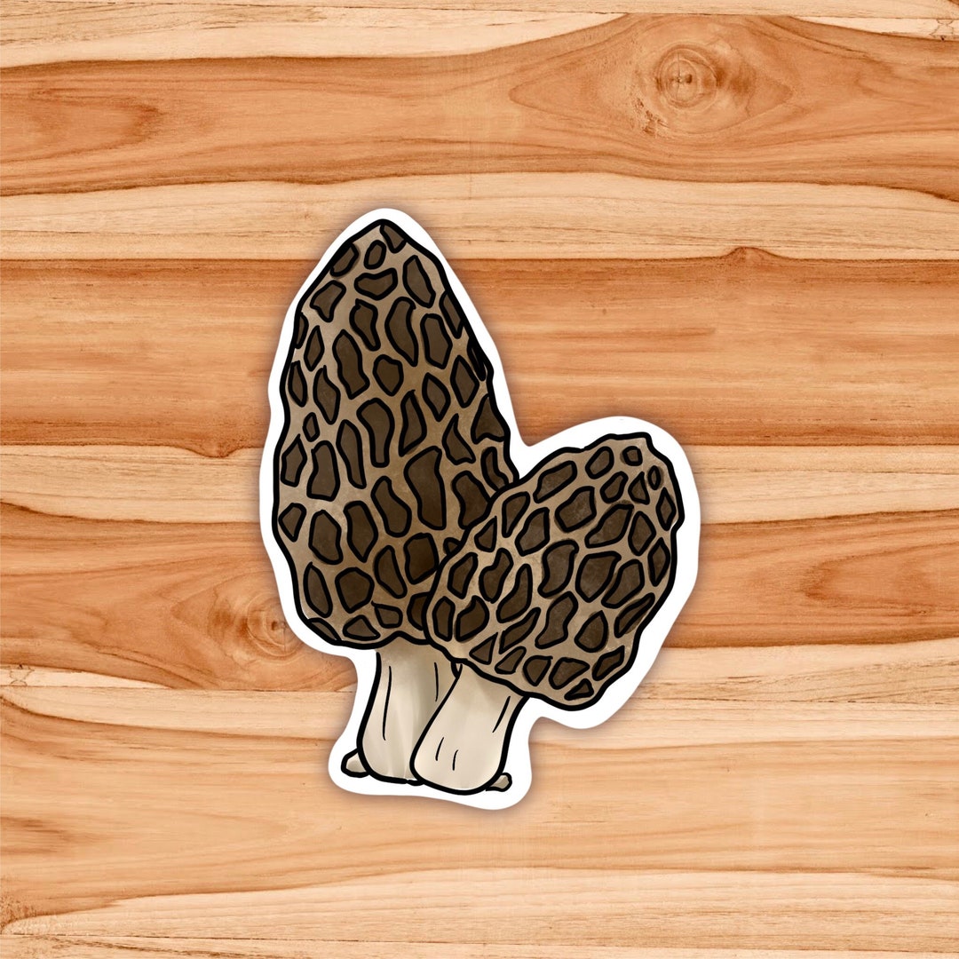 Morel Sticker - Etsy