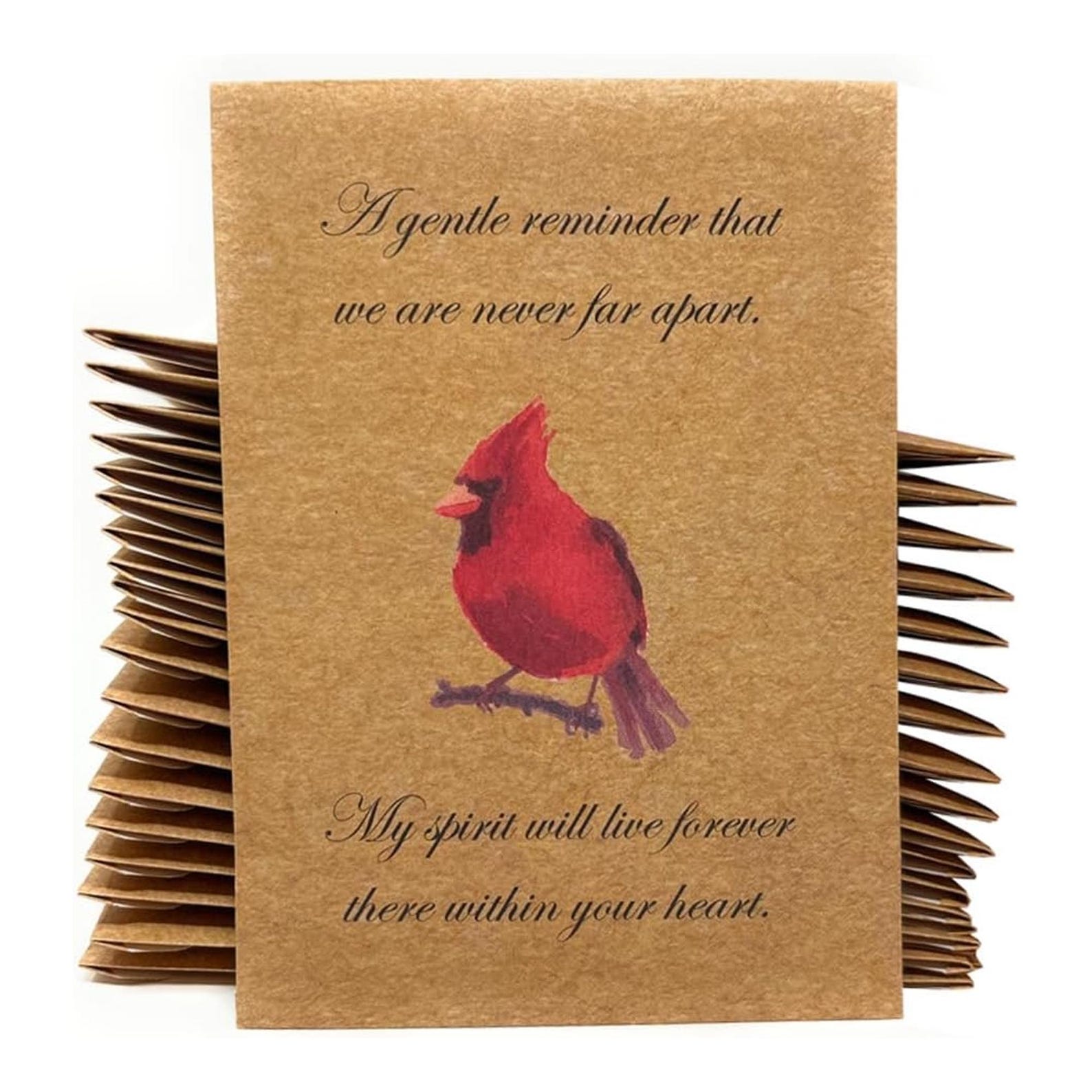 Cardinal Funeral Bird Seed-funeral Favors for Guests-bulk Set of 20 ...