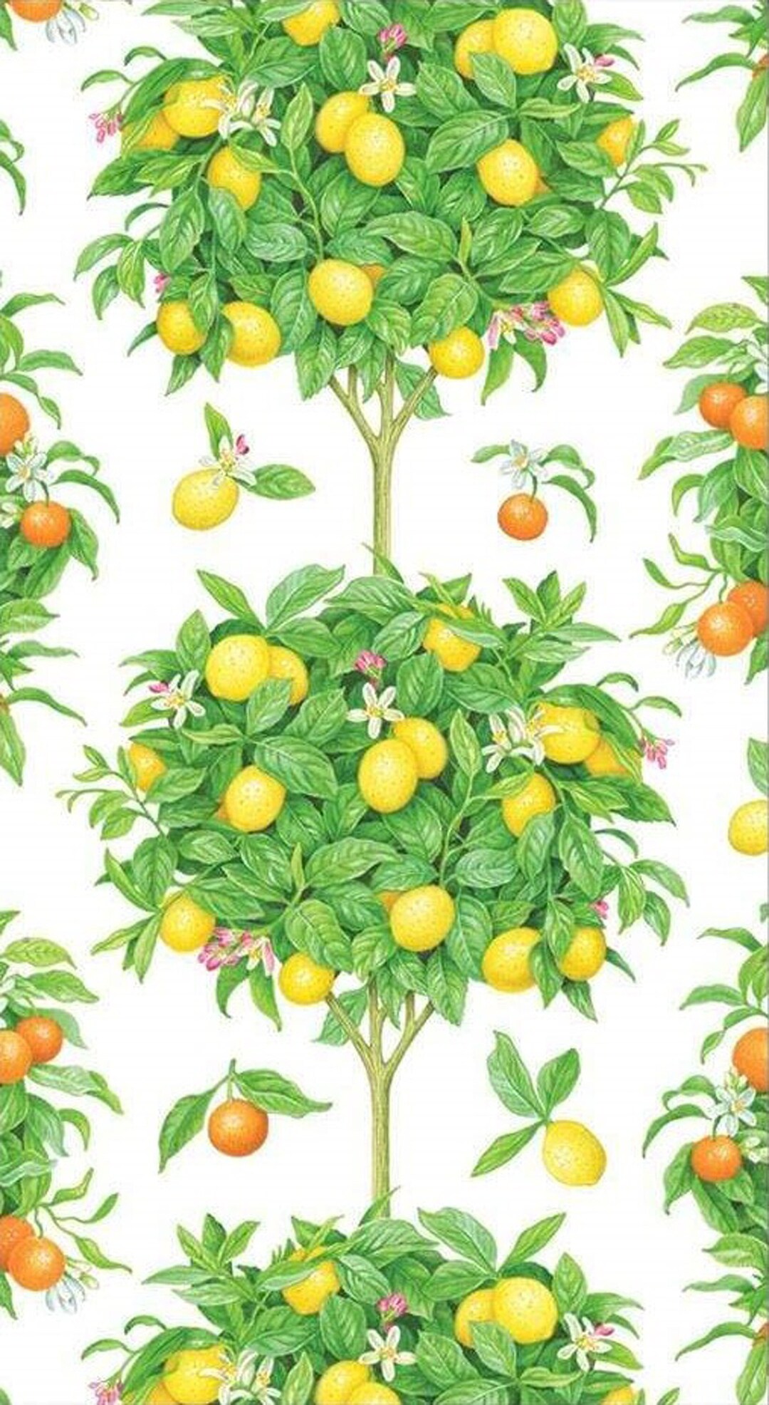 Lemon Orange Topiary Tree Paper Napkins: Inspire Your Decoupage Oyster ...