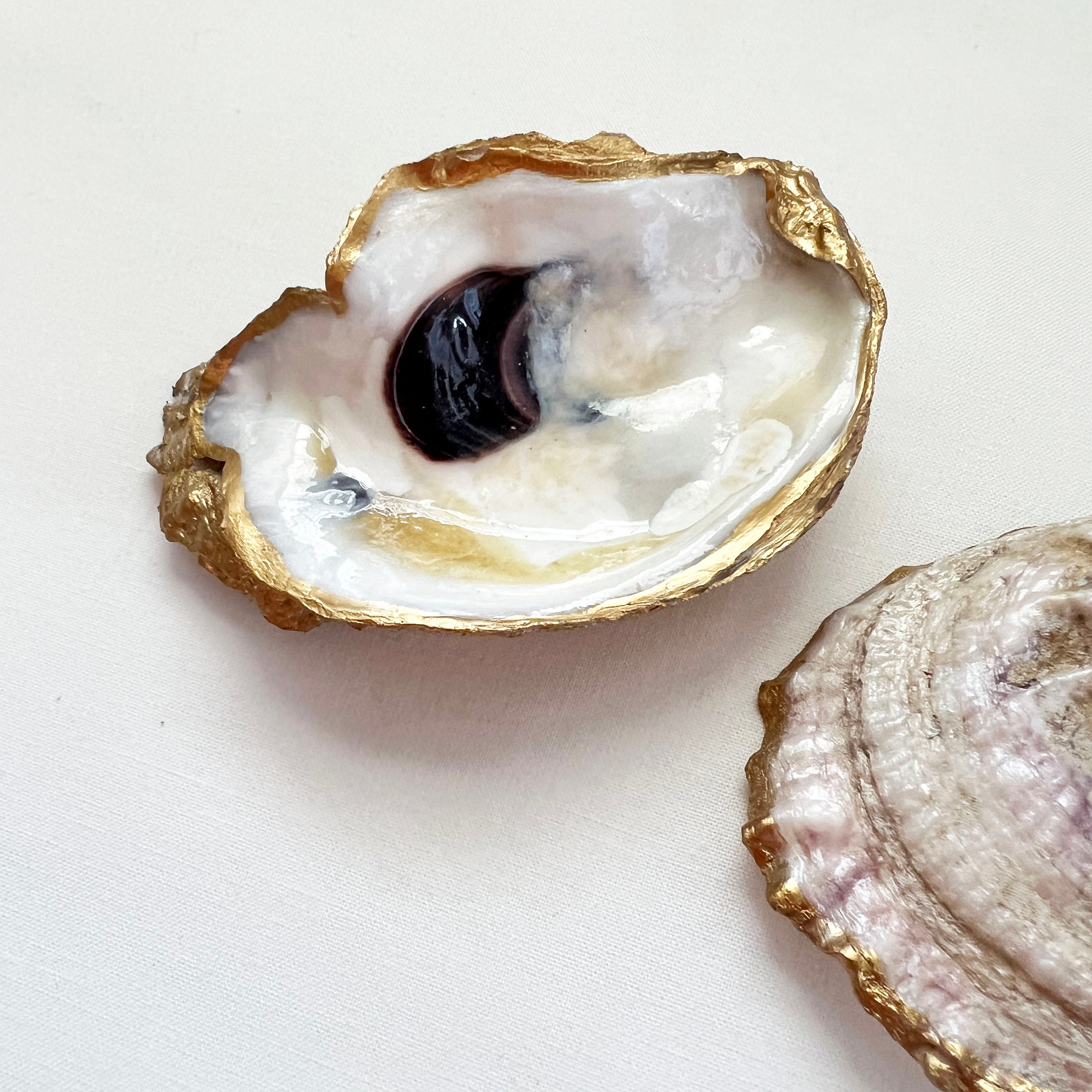 Super Glossy Natural Decorative Oyster Shell Gold + Silver Edge Finish ...