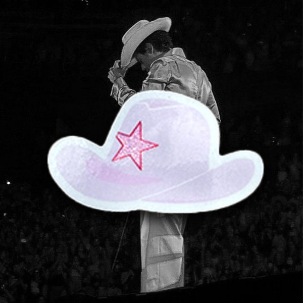 Harry Styles Pink Hat - Etsy