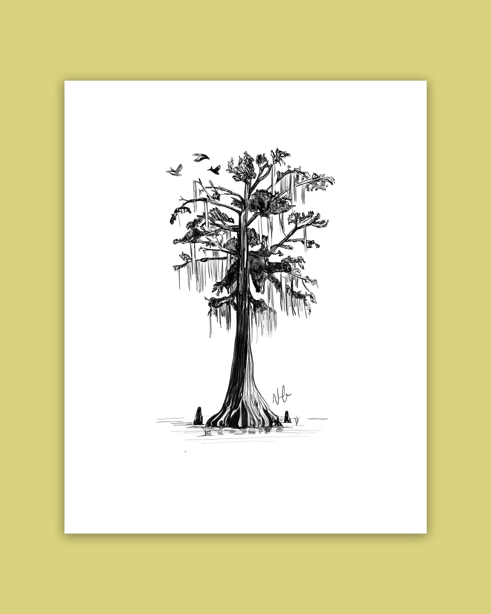 Cypress Tree Pencil Drawing Cypress Tree Wall Art Print - Etsy