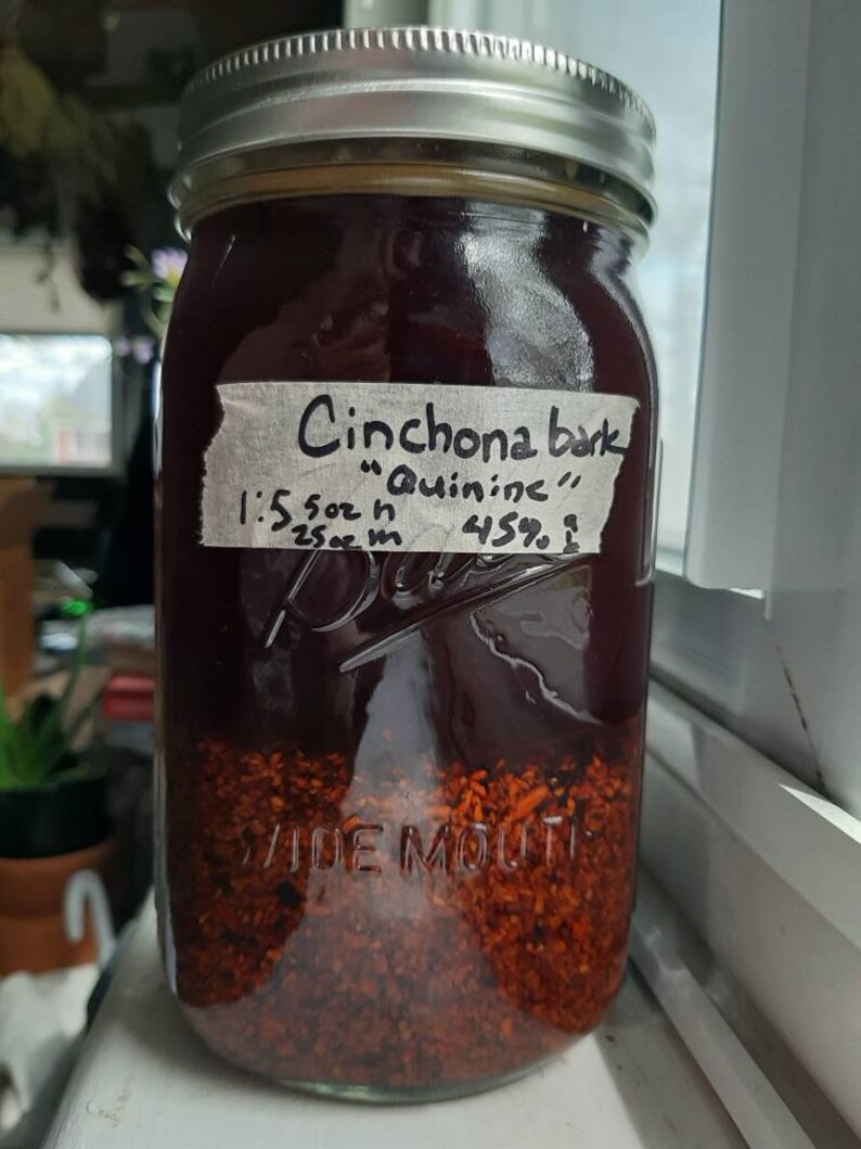 2-4 Oz Cinchona Bark quinine Double-extract - Etsy