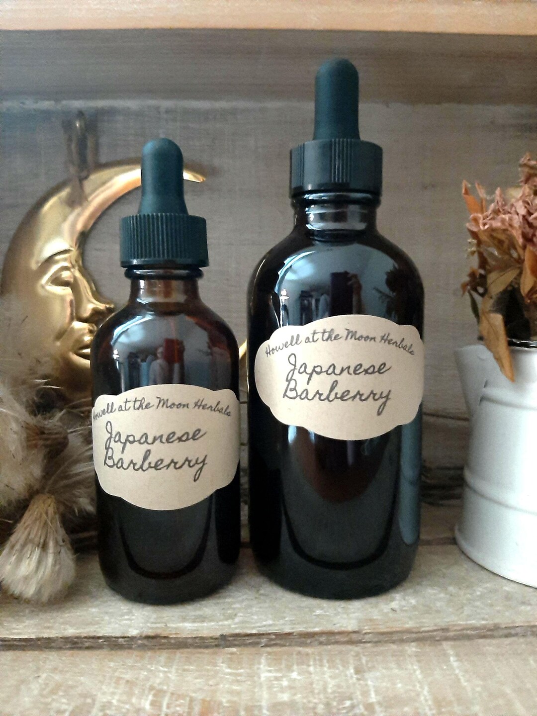 Japanese Barberry (berberis Thunbergii) Double-extract Tincture - Etsy