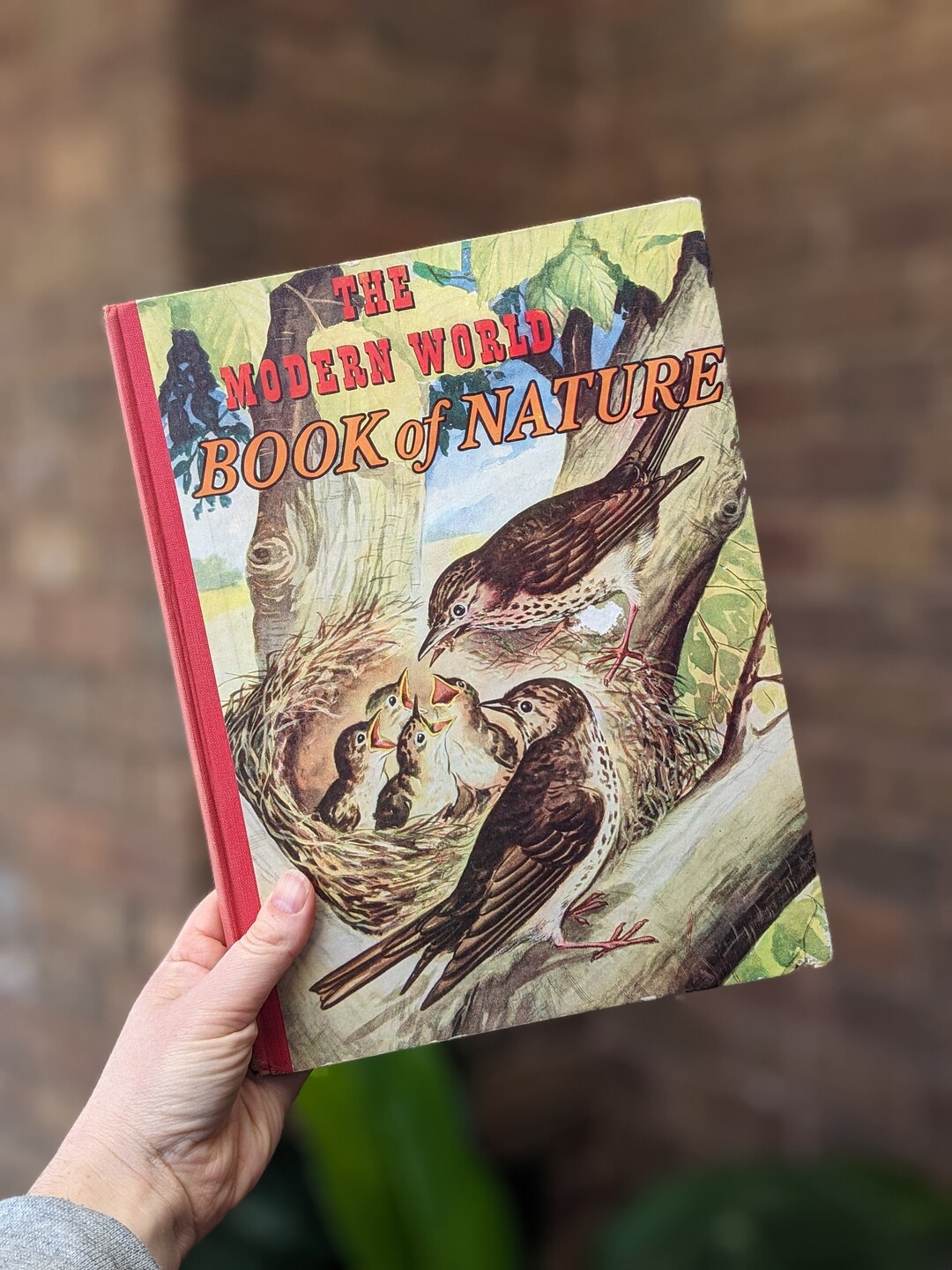 Vintage Nature Book for Children - the Modern World Book of Nature ...