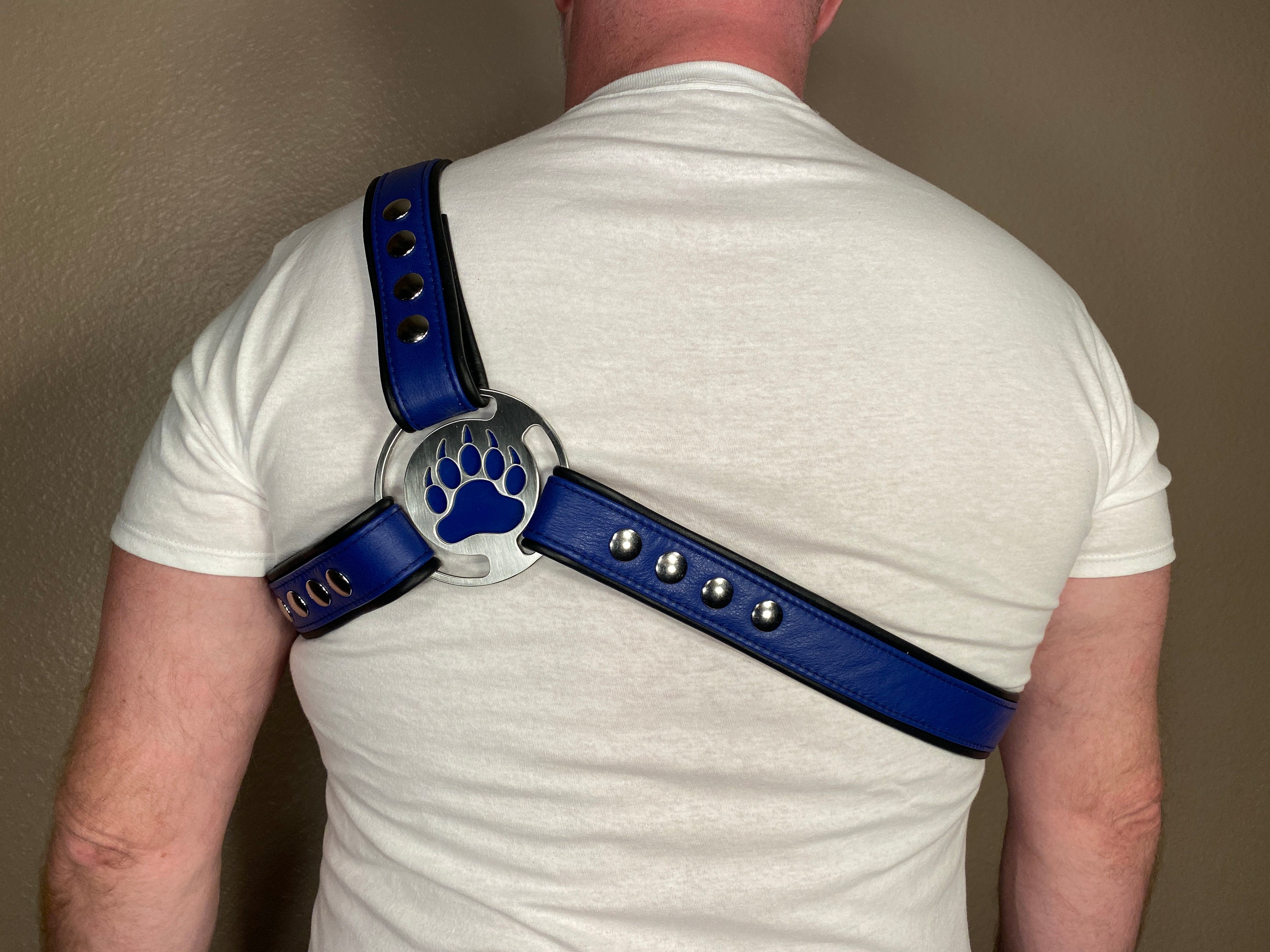 Bear Themed 3 Strap Harness Multiple Colors Available | Etsy