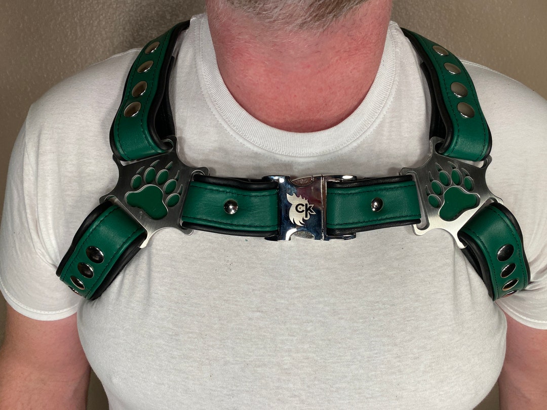 Bear Themed Bulldog Harness (multiple Colors Available) - Etsy