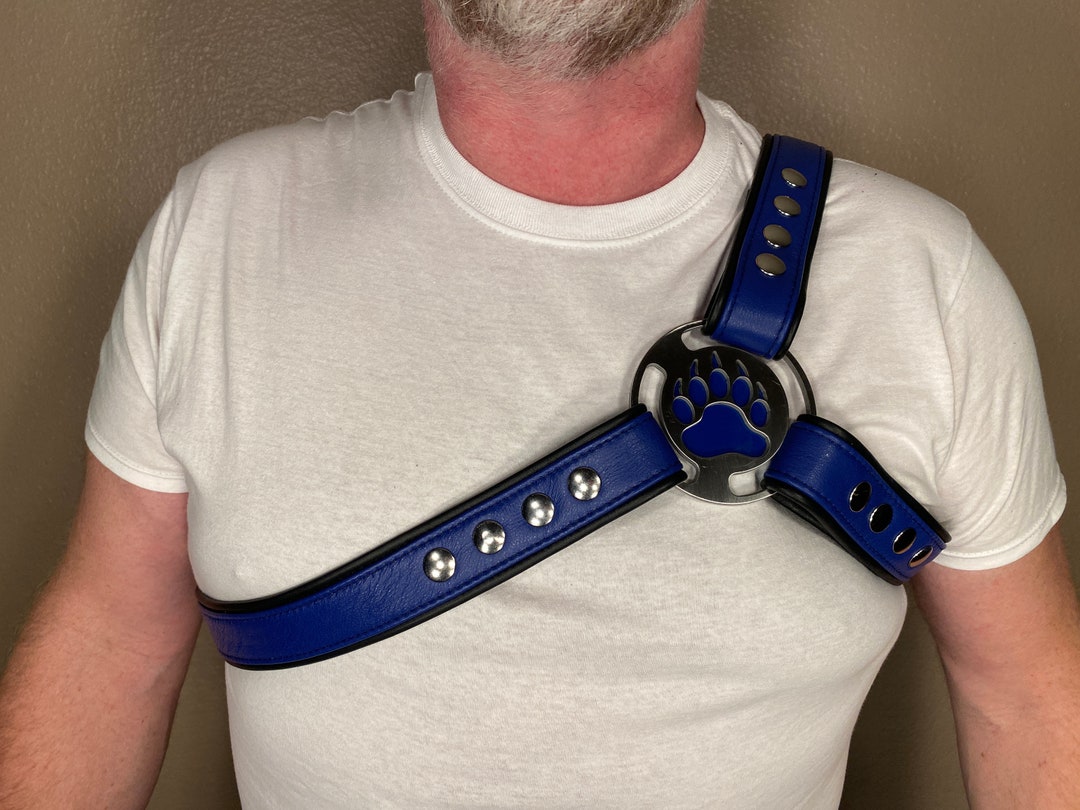 Bear Themed 3 Strap Harness (multiple Colors Available) - Etsy
