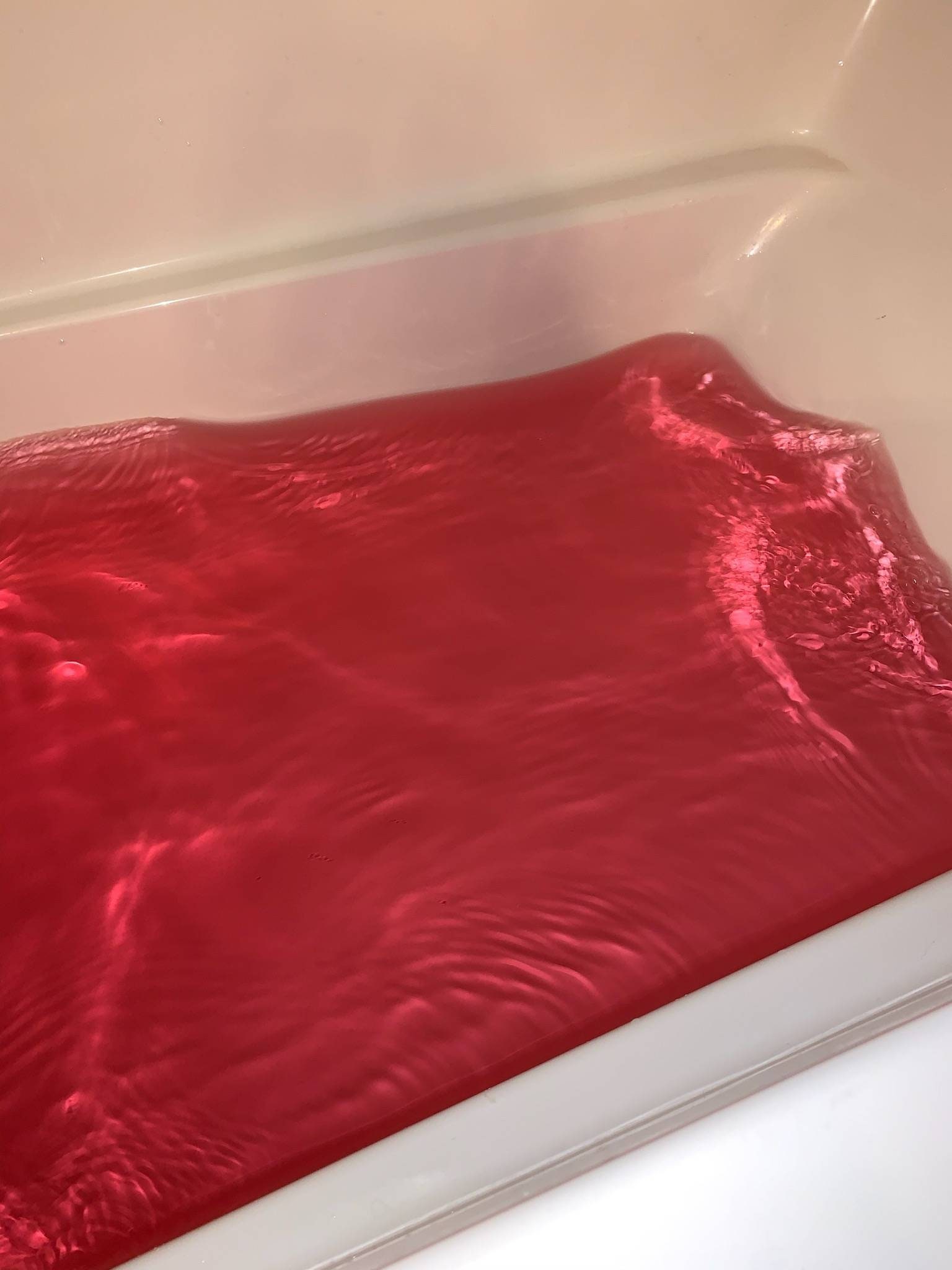 50 Bath Bomb Embed Bars Calypso Coral - Etsy