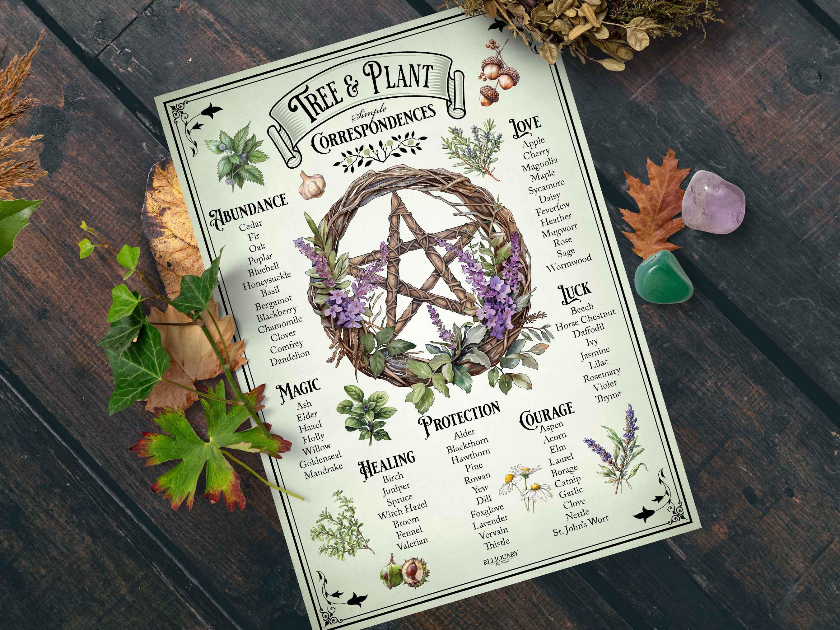 Tree and Plant Correspondences, Green Witch Wall Art Witchy Decor. for ...