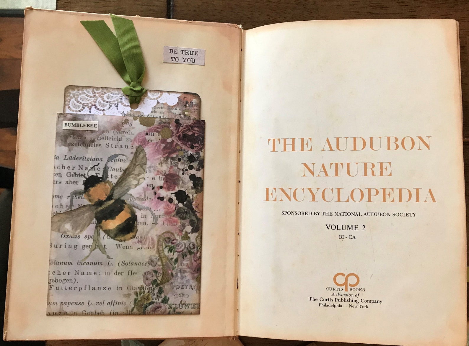 Audubon Nature Encyclopedia Altered Book/junk Journal | Etsy