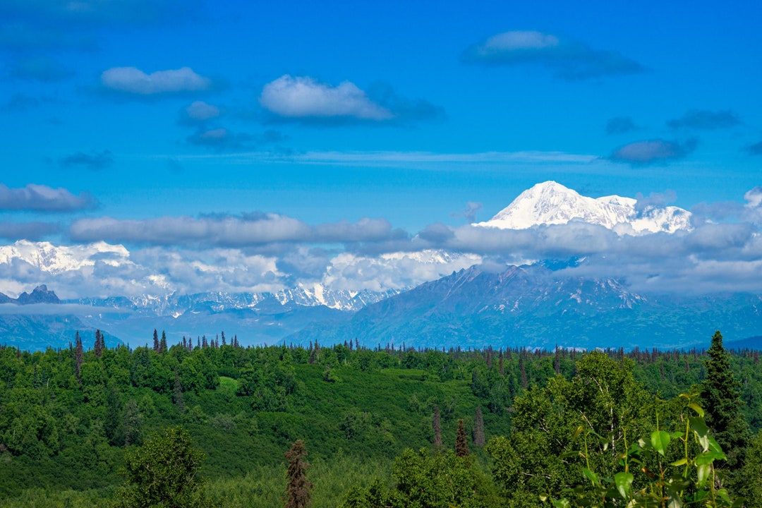 Mt. Denali With Landscape - Etsy