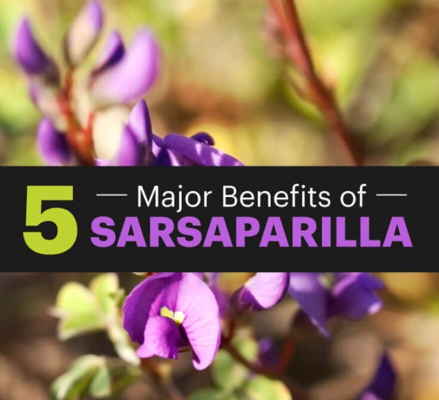 Sarsaparilla Capsules Root Powder smilax Ornata Tu Fu Ling - Etsy Canada