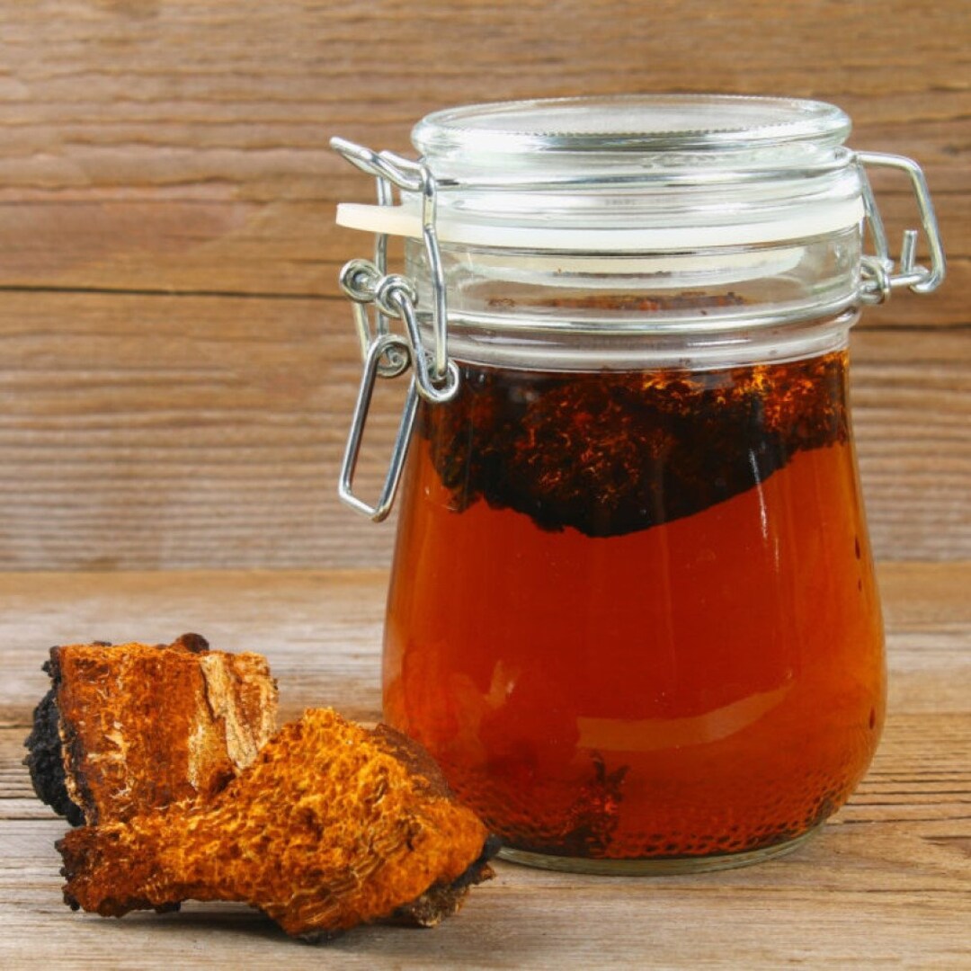 Chaga Mushroom Tincture Extract Liquid - Etsy