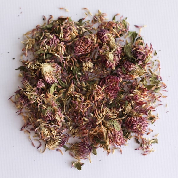 Dried Red Clover Blossom - Etsy