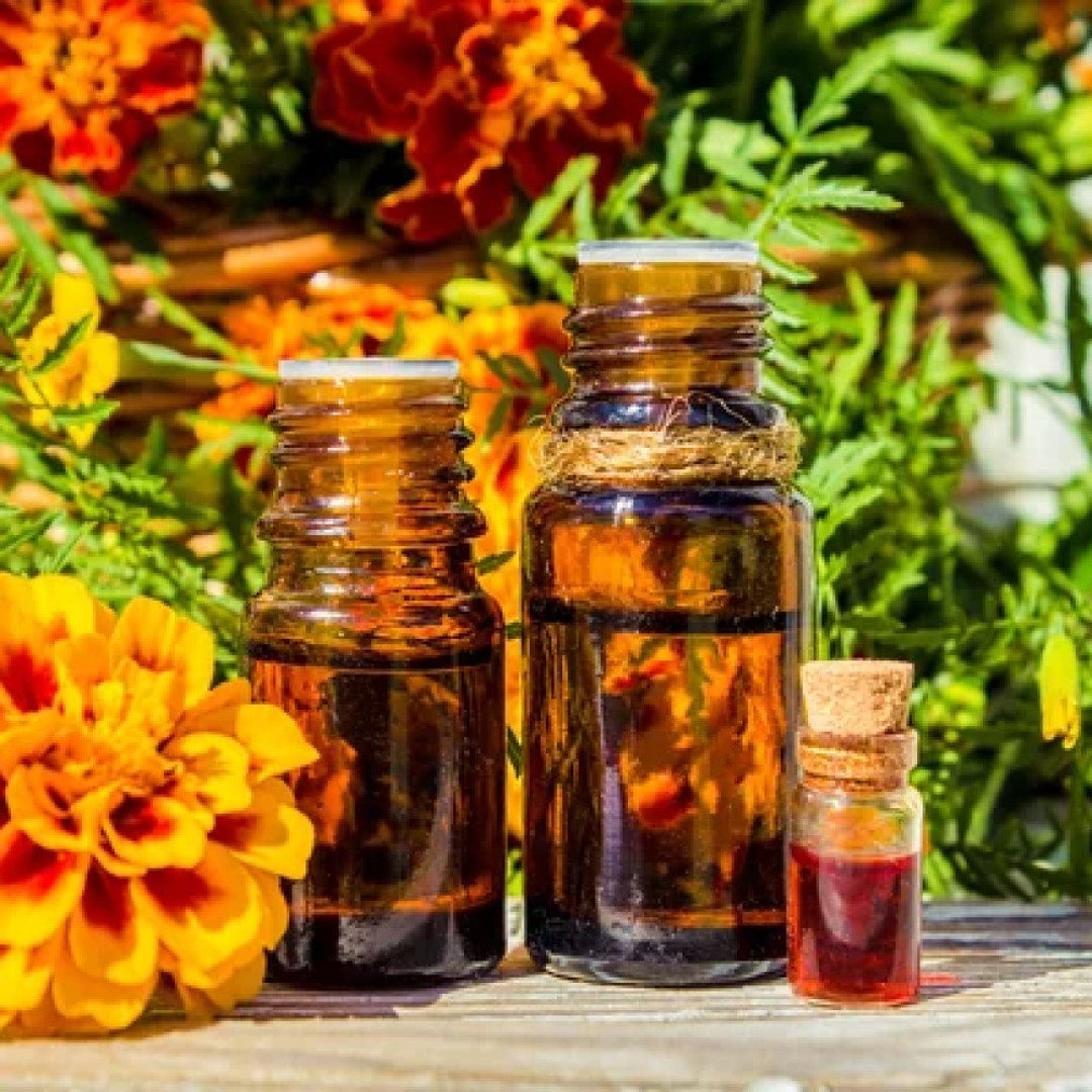 California Poppy Tincture Extract Liquid Eschscholzia - Etsy