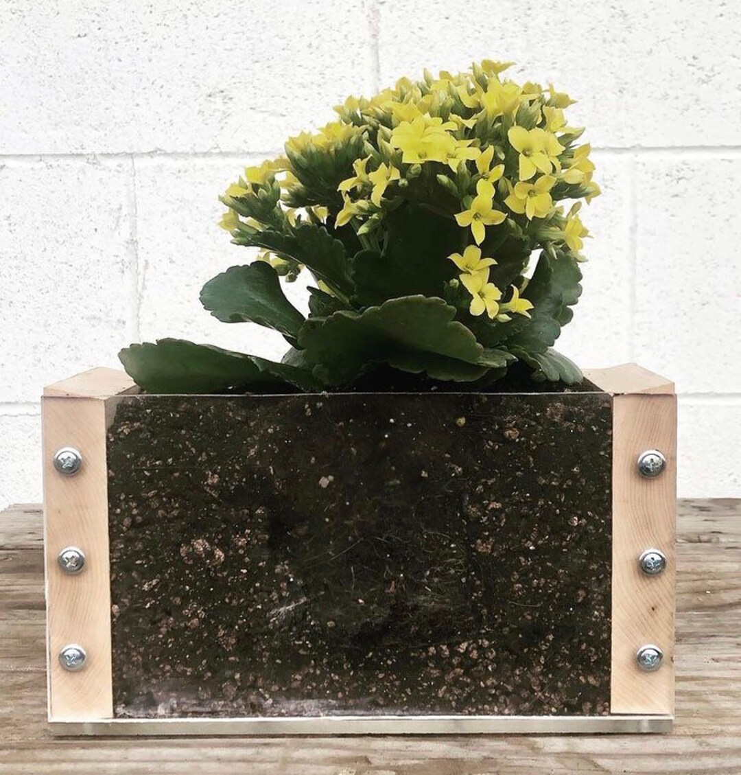 Watch Me Grow Planter Box, Homeschool Activities, Eco Friendly Gift ...