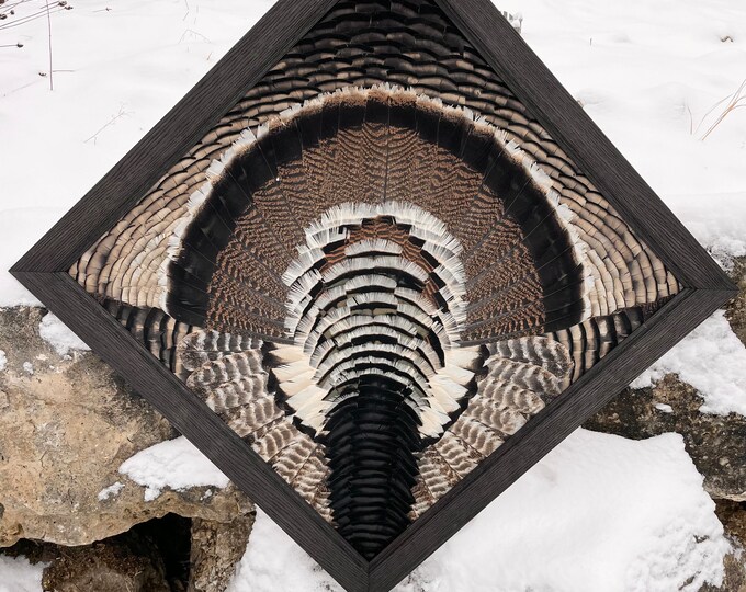38” Wide Feather Art Smoke Phase Turkey - Etsy