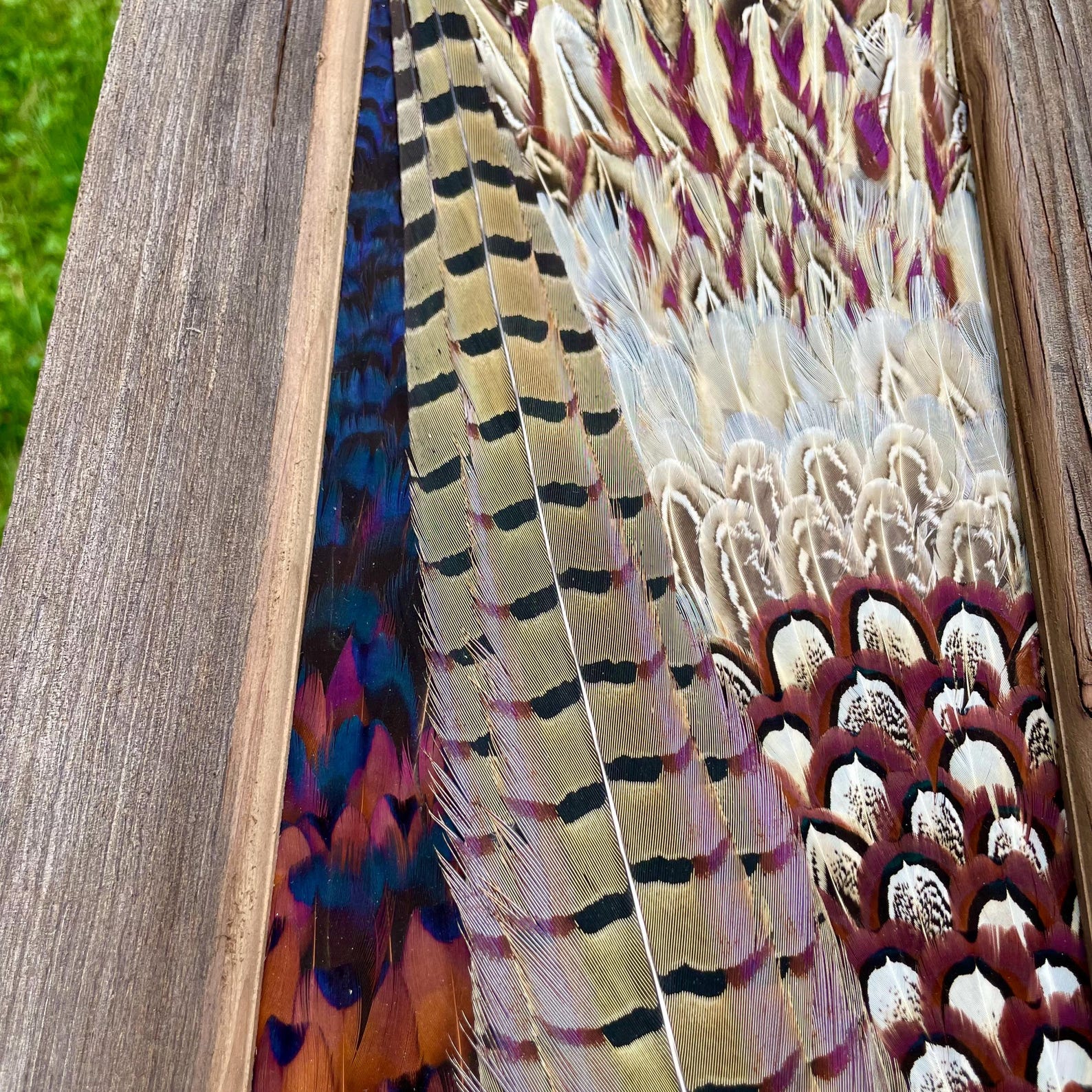 25” X 8” Pheasant Feather Art - Full Tail - Barnwood Frame - Etsy