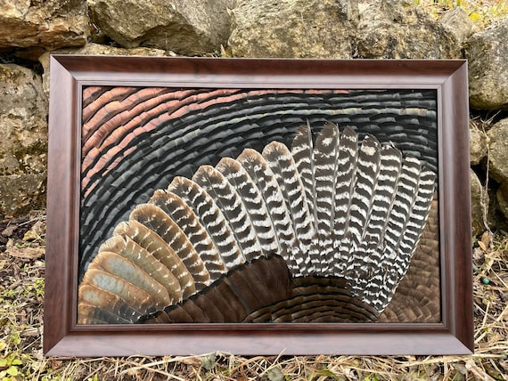 19 X 27 Wild Turkey Feather Art Wing Feathers - Etsy