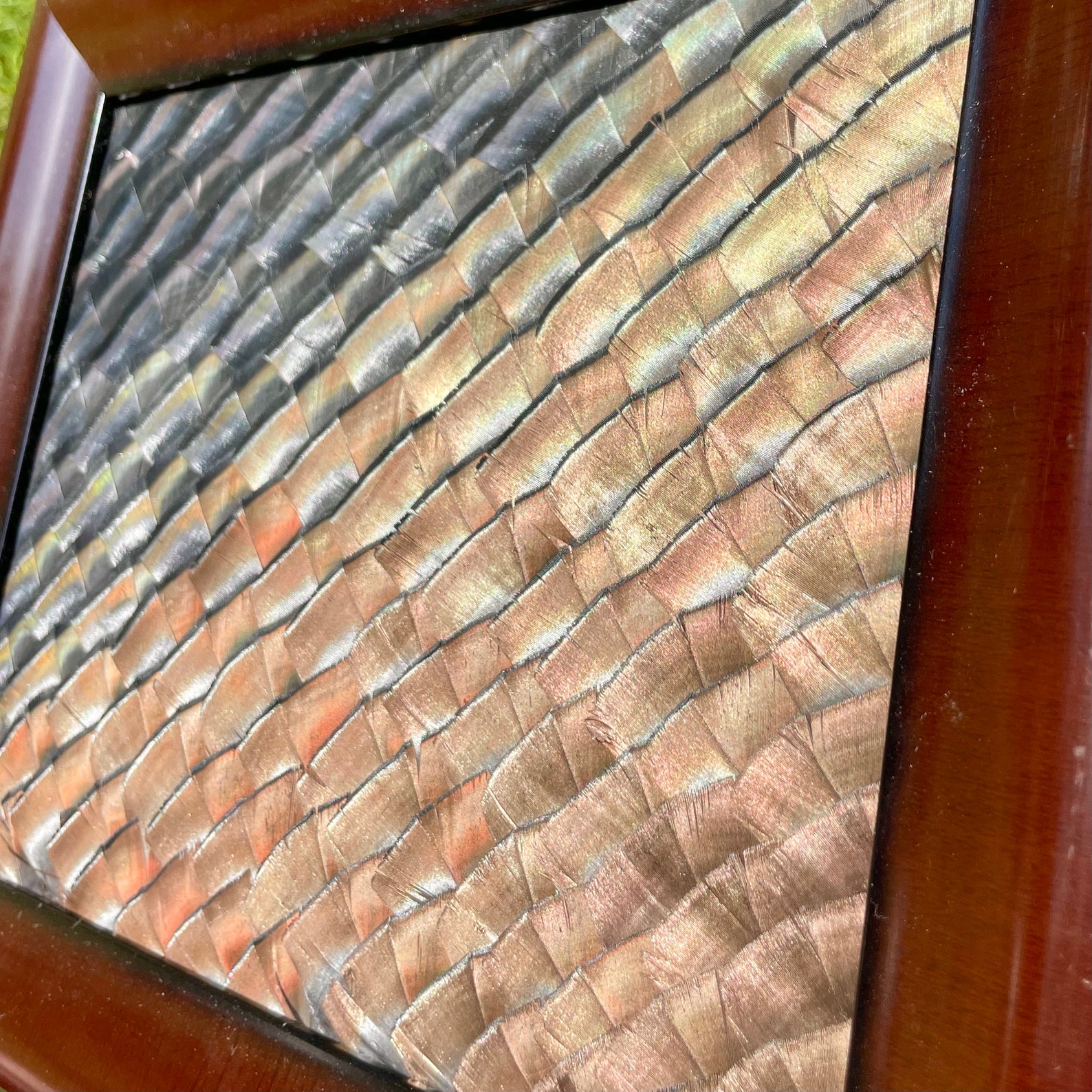 11” X 13” Wild Turkey Feather Art - Etsy