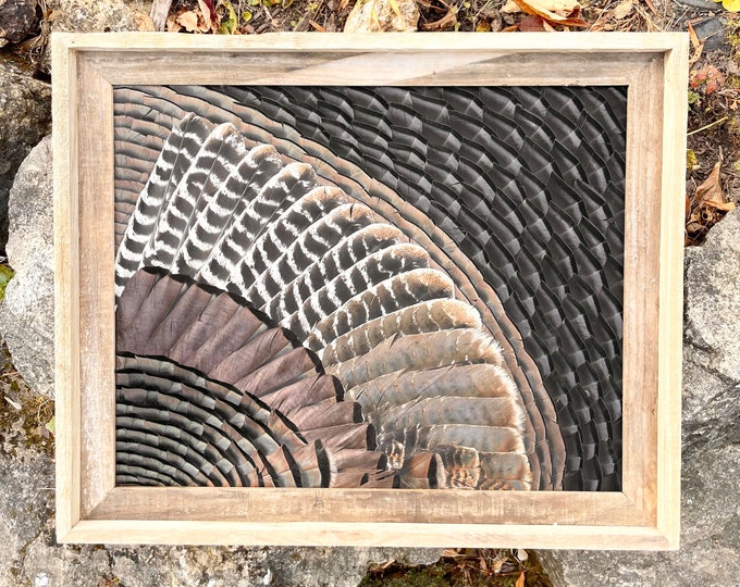 19” X 23” Wild Turkey Feather Art - Etsy