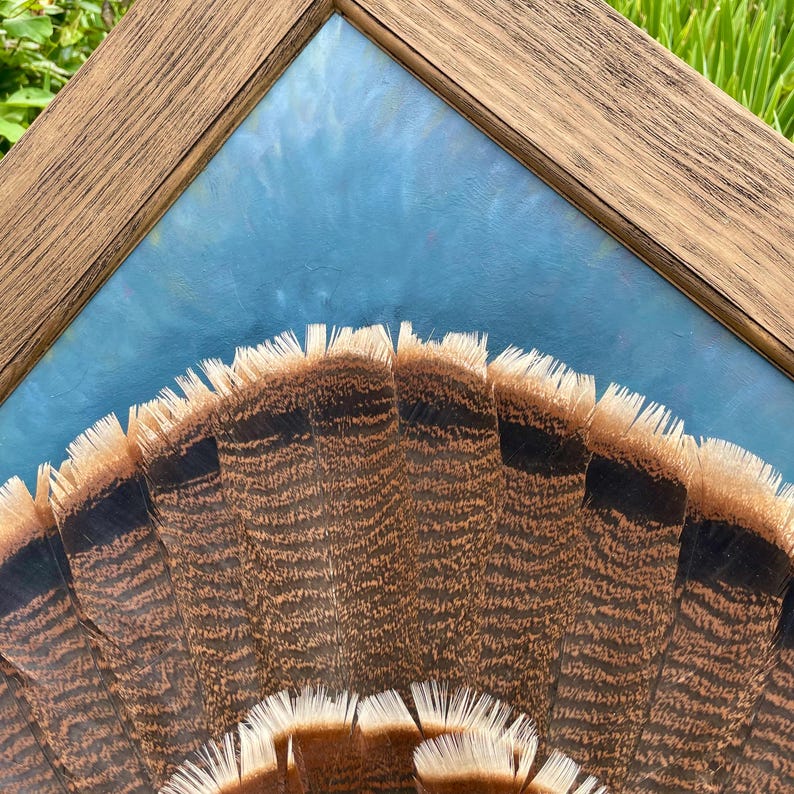 Prairie Storm Cloud - Feather Art -wild Turkey - Etsy