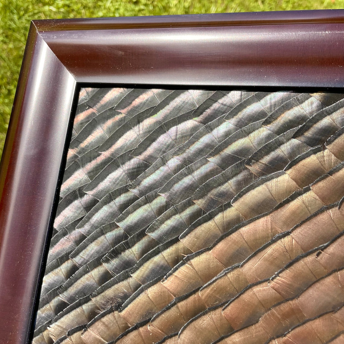 11” X 13” Wild Turkey Feather Art - Etsy