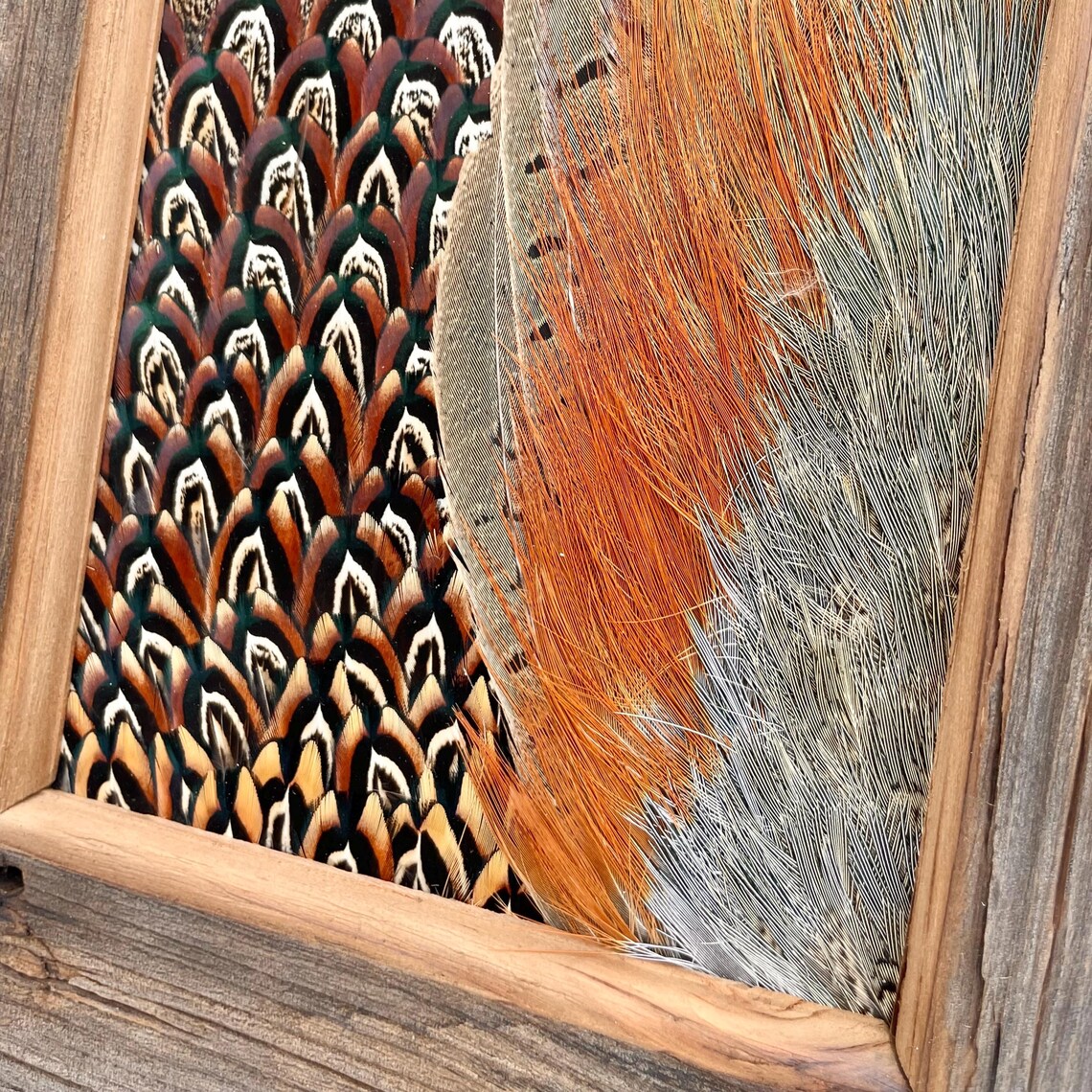 25” X 8” Pheasant Feather Art - Full Tail - Barnwood Frame - Etsy