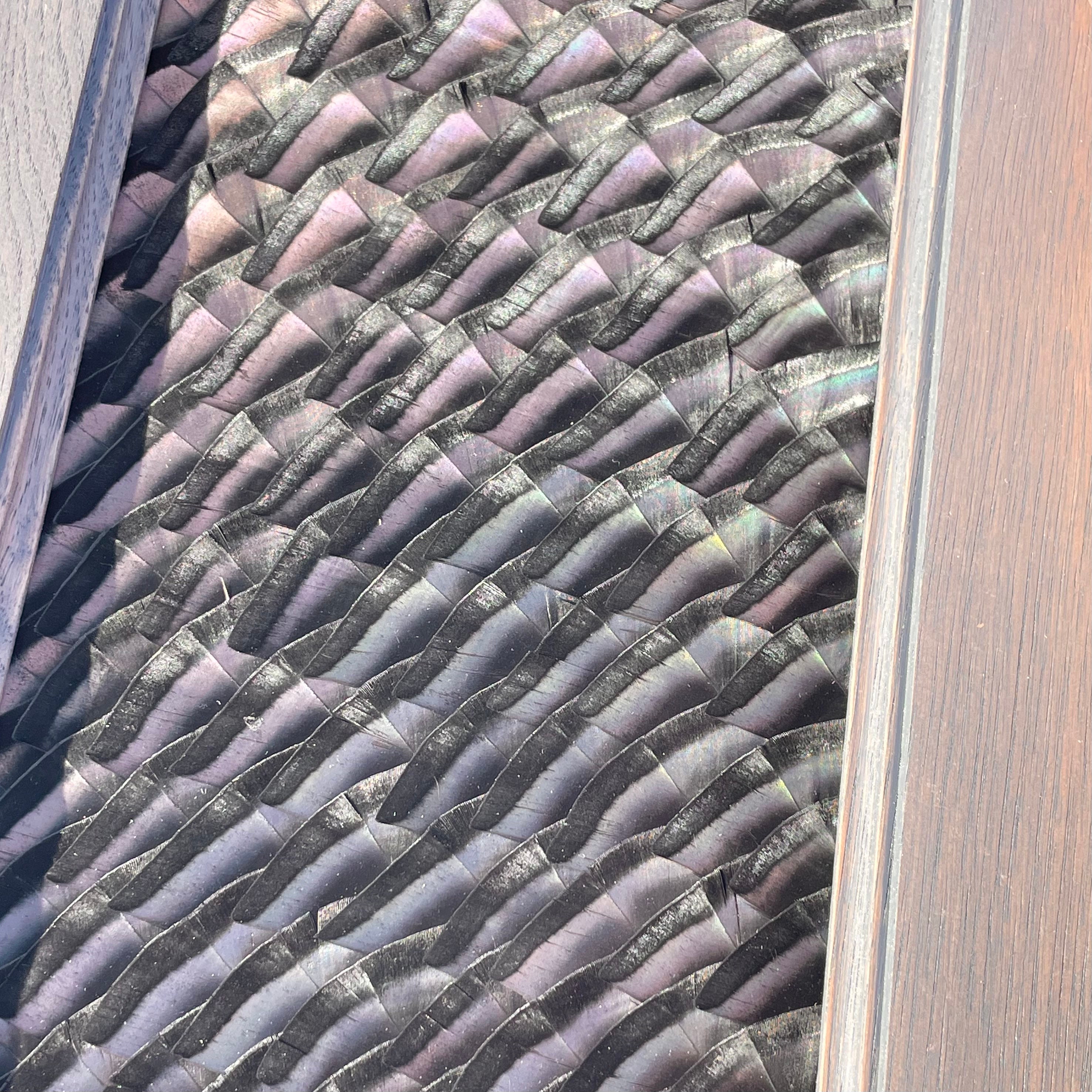 27 X 10 Eastern Wild Turkey Feather Art With Handmade | Etsy