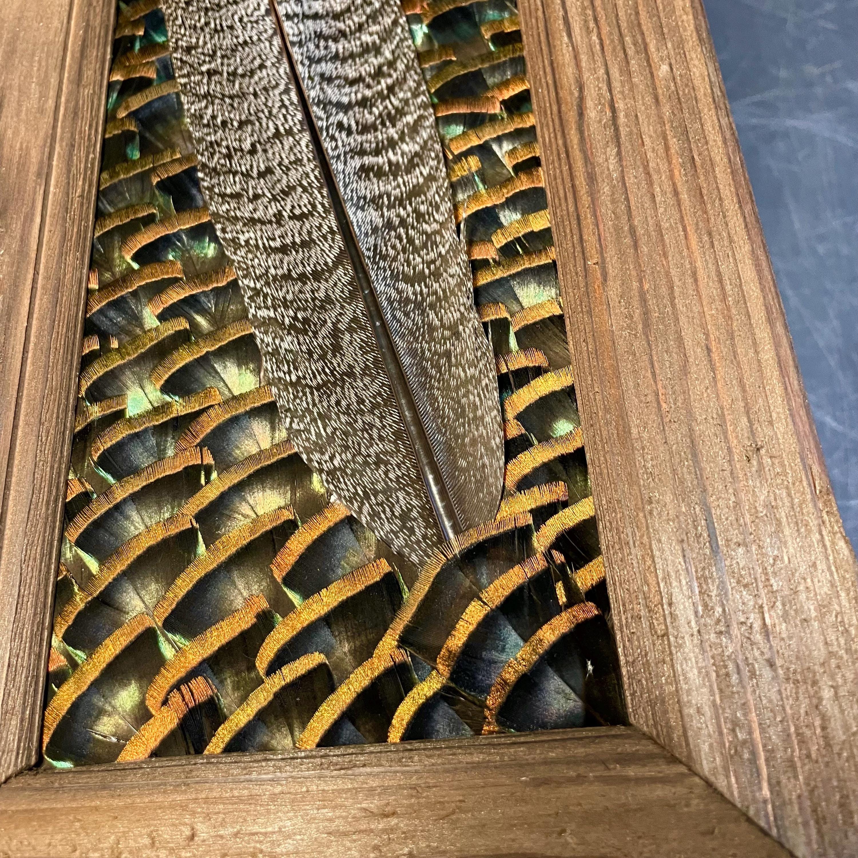 14 X 7 Ocellated Turkey Feather Art - Etsy