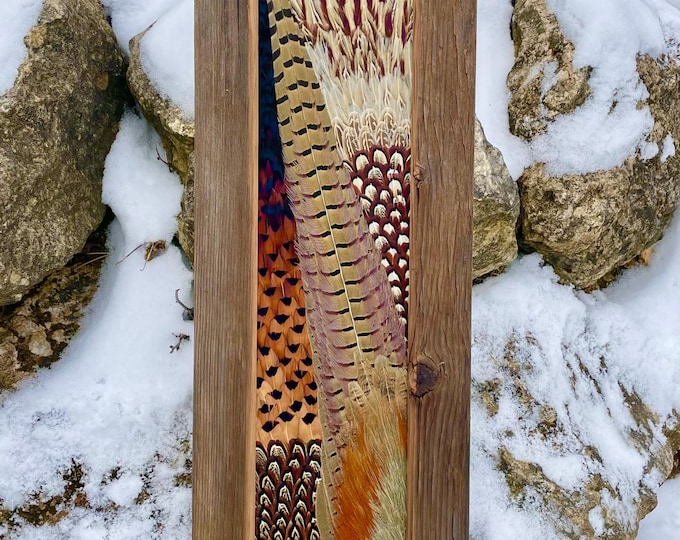 26” X 9” Pheasant Feather Art - Full Tail - Barnwood Frame - Etsy